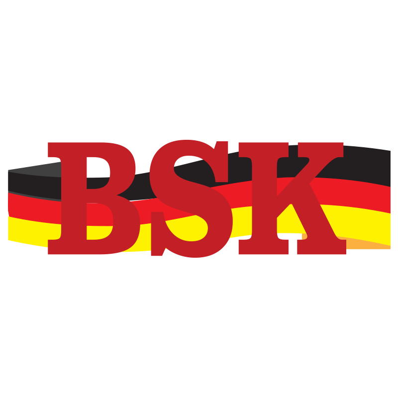 BSK - Refaccionaria Mario